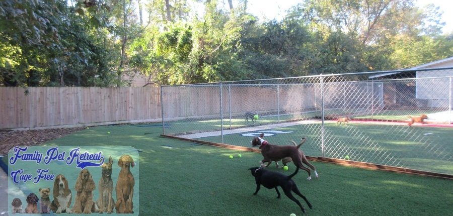 Family Pet Retreat: Dog Boarding | Dog Daycare Spring Texas